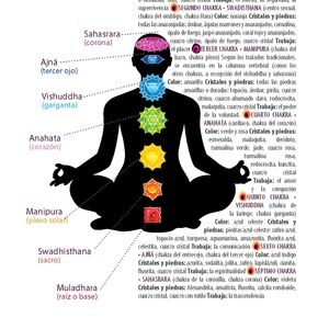 HolistiKarma | Office | Knowing The Chakras Spanish Version | Poshmark